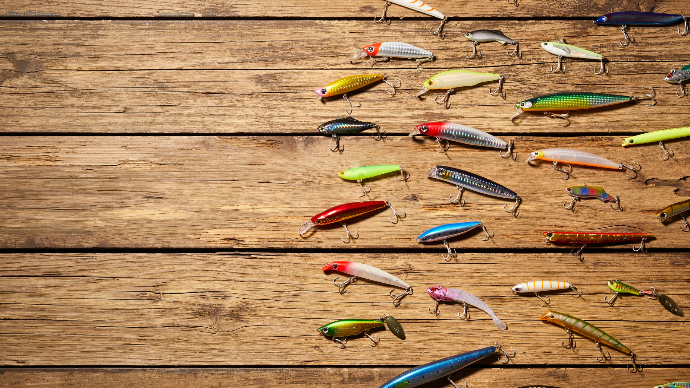 Fly Lines Explained 101 | The Fishing Advice | Your Complete Fishing Guide