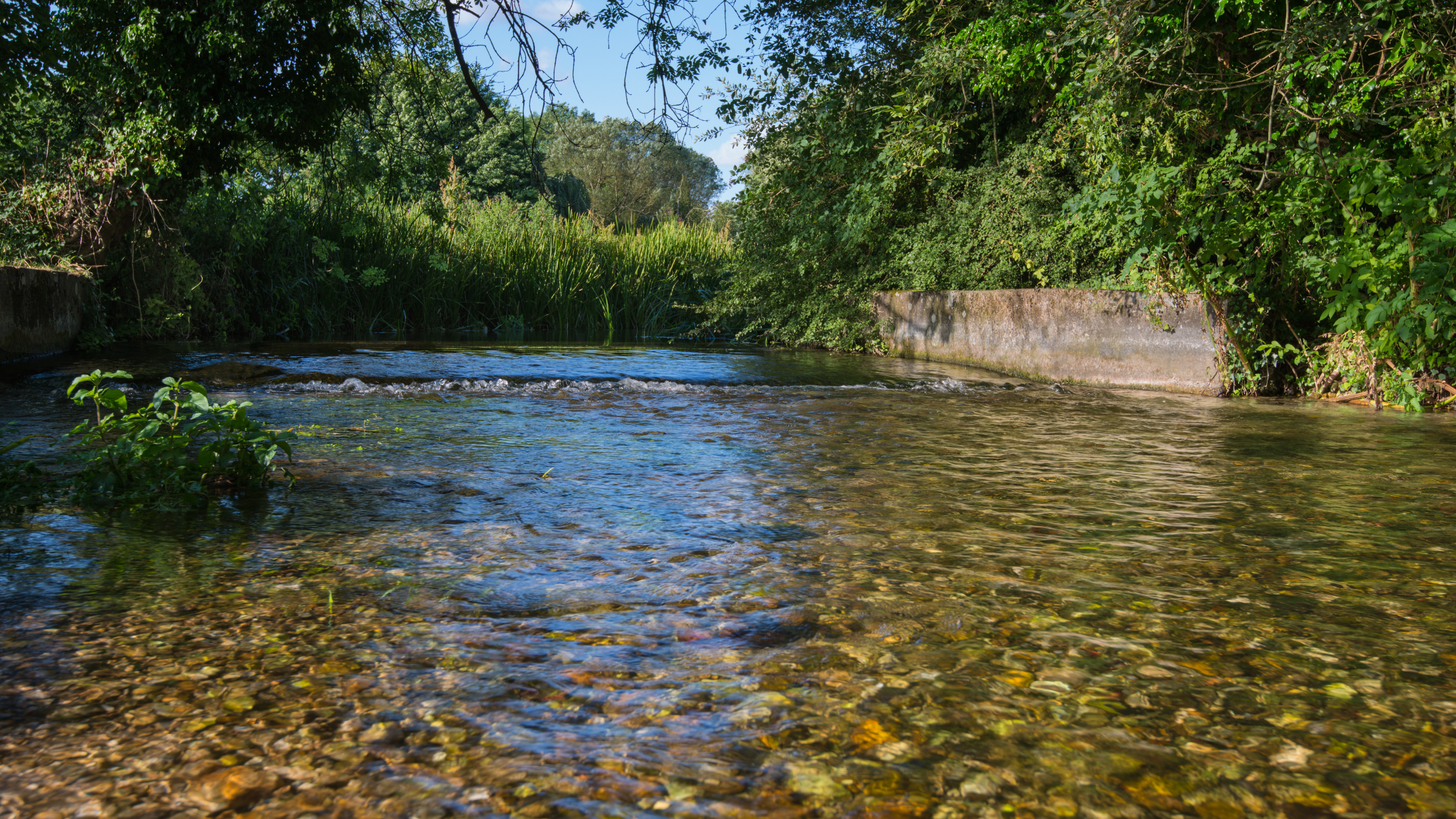 Parkway Lake Fishing | The Fishing Advice | Your Complete Fishing Guide